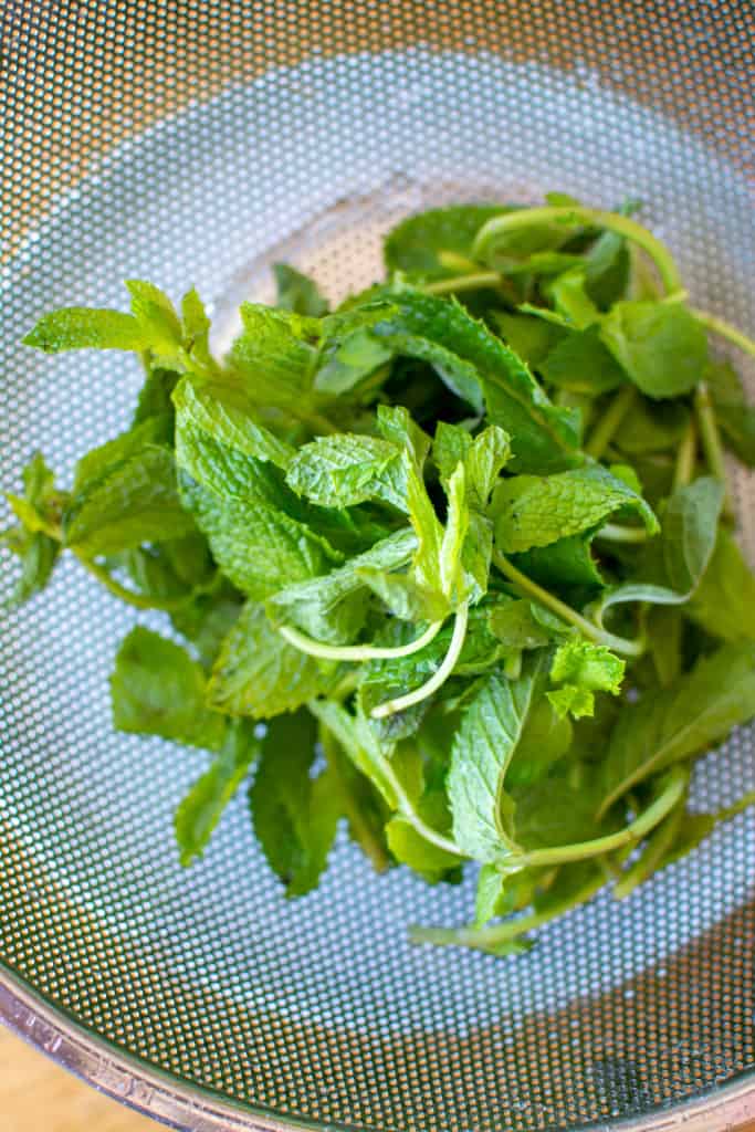 An Easy and Refreshing Mojito Recipe - ¡HOLA! JALAPEÑO