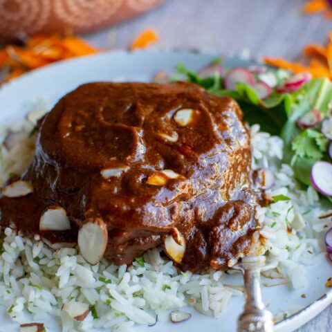 Pipián Rojo Recipe (Ancho Chile & Pumpkin Seed Sauce) - ¡HOLA! JALAPEÑO