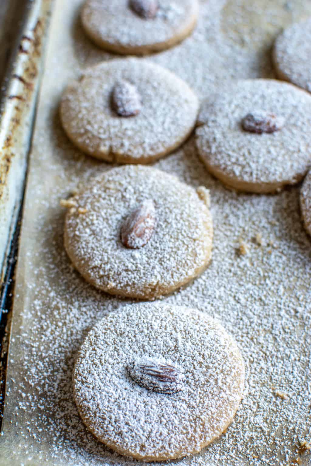 Almond Polvorosas: The Best Venezuelan Cookie Recipe - ¡HOLA! JALAPEÑO