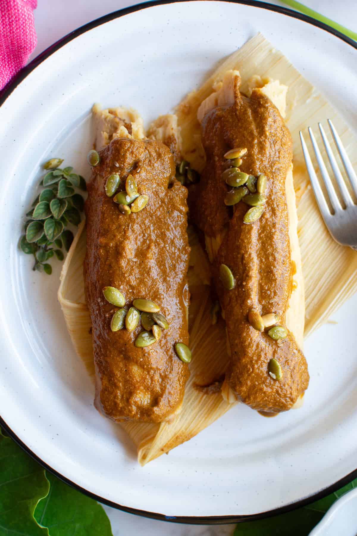 Pipián Rojo Recipe (Ancho Chile & Pumpkin Seed Sauce) - ¡HOLA! JALAPEÑO