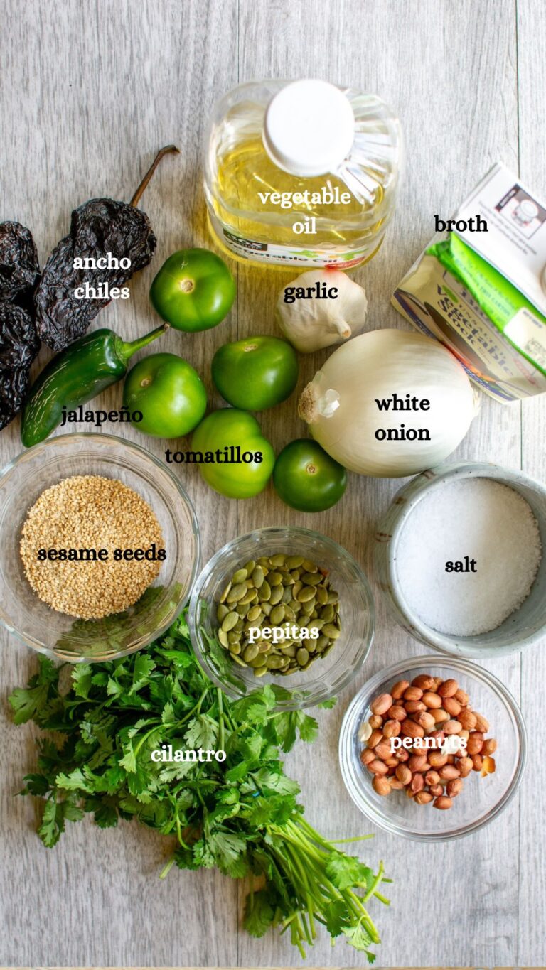 Pipián Rojo Recipe (Ancho Chile & Pumpkin Seed Sauce) - ¡HOLA! JALAPEÑO