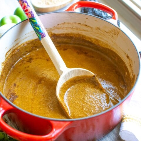 Pipián Rojo Recipe (Ancho Chile & Pumpkin Seed Sauce) - ¡HOLA! JALAPEÑO