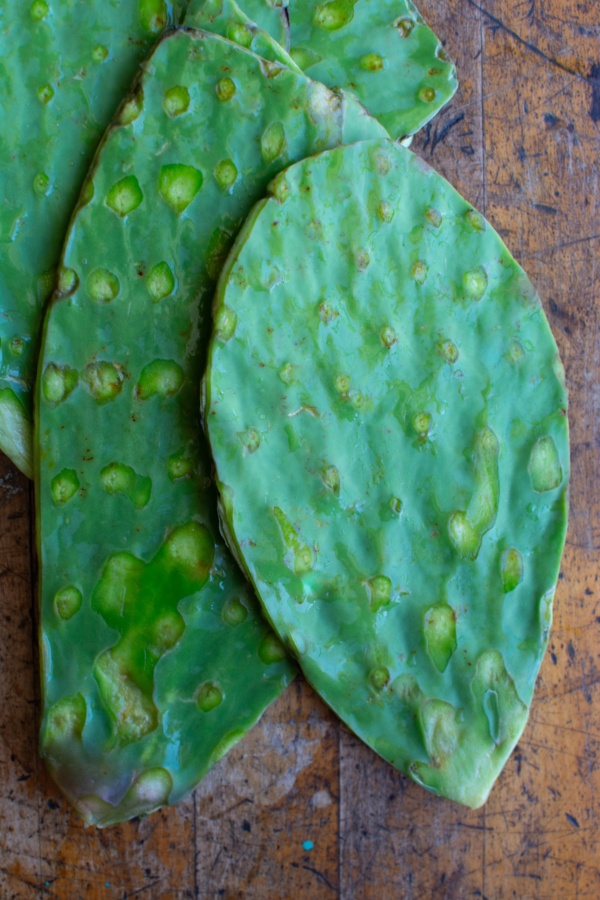 Nopales Con Carne {Mexican Cactus with Meat Recipe} - ¡HOLA! JALAPEÑO