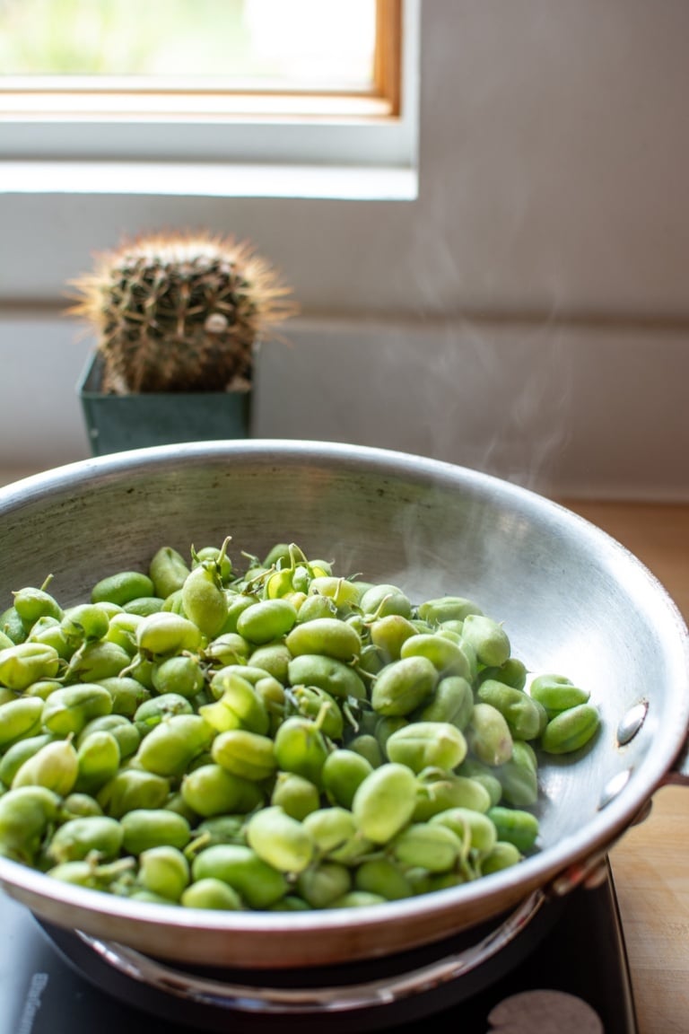 Guasanas (Mexican-Style Fresh Garbanzo Beans Recipe) - ¡HOLA! JALAPEÑO