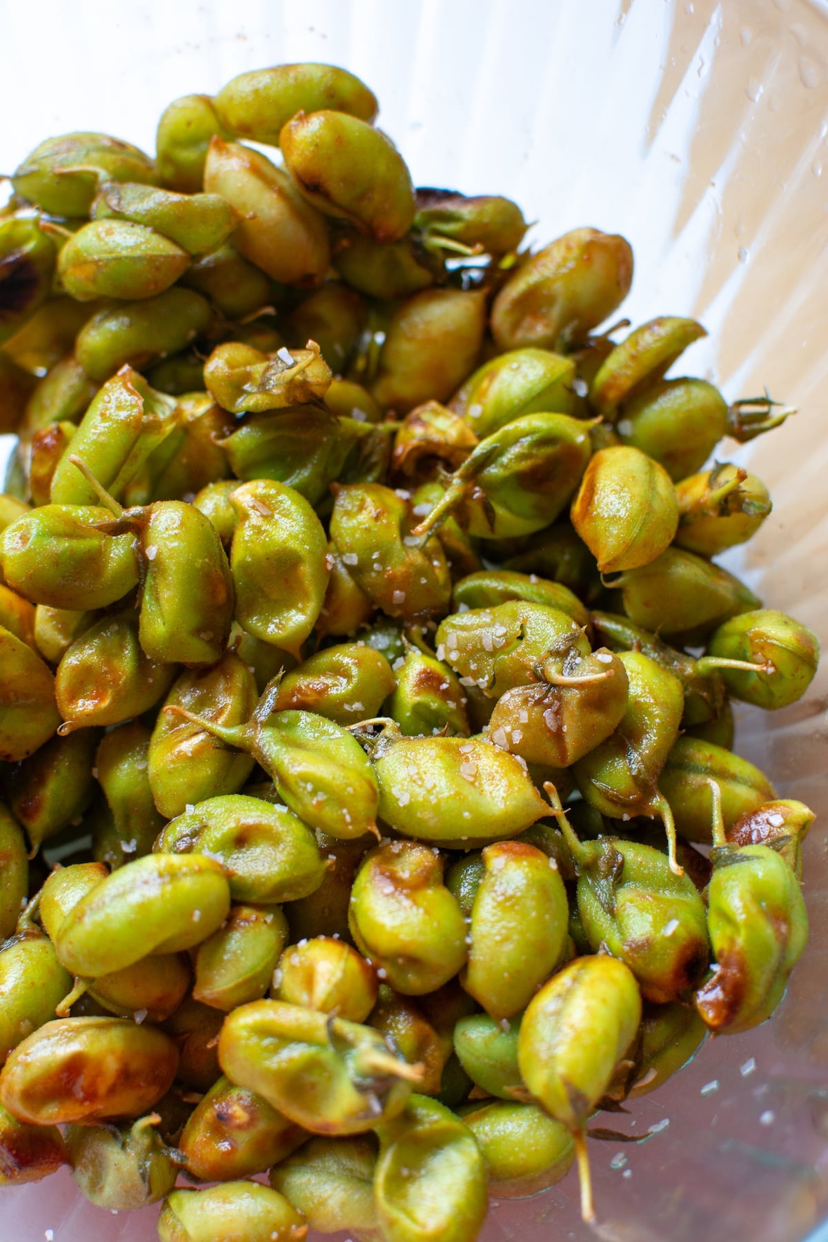 Guasanas (Mexican-Style Fresh Garbanzo Beans Recipe) - ¡HOLA! JALAPEÑO