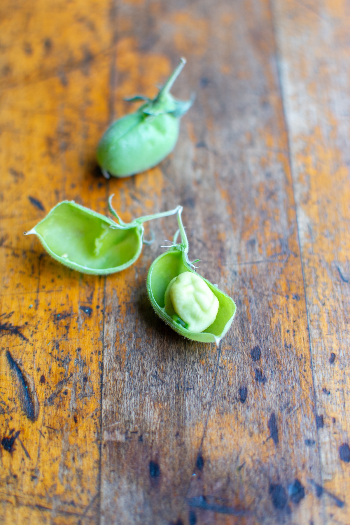 Guasanas (Mexican-Style Fresh Garbanzo Beans Recipe) - ¡HOLA! JALAPEÑO